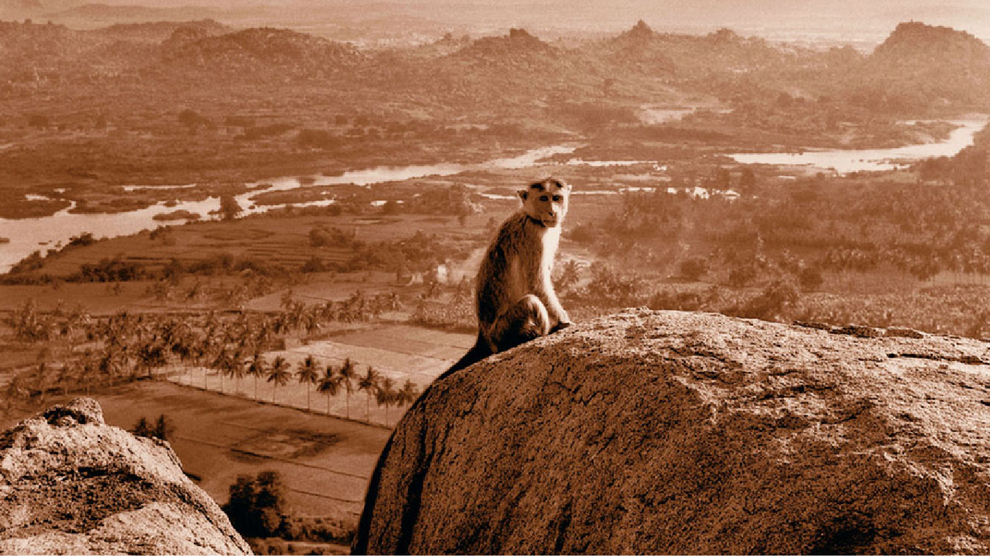 Worlds of Wonder: India Poems By Waswo X. Waswo - MAP