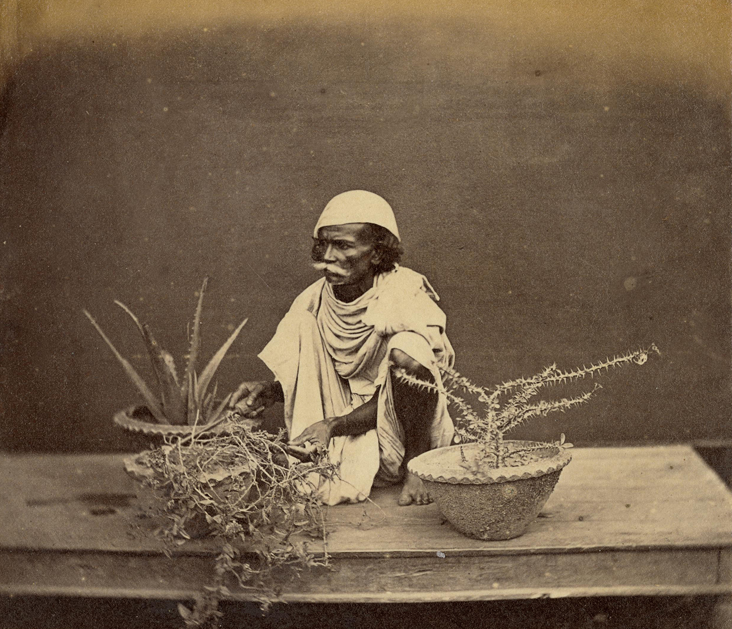 The Photographic Journey of India - MAP