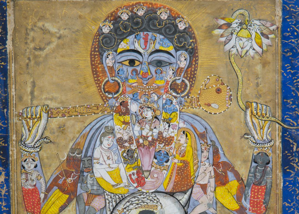 A Cosmic Vision - MAP